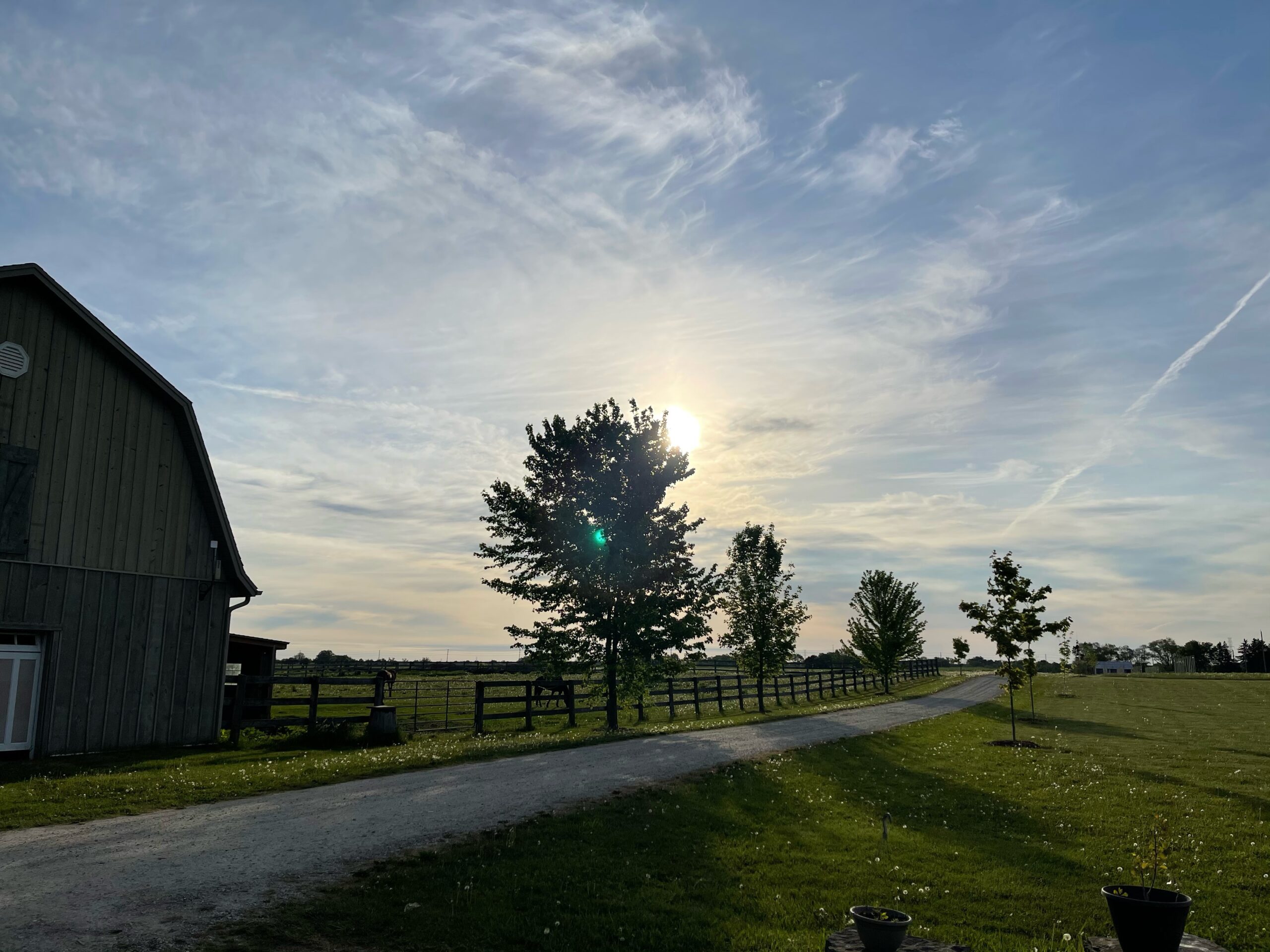 Contact - Green Giant Ontario